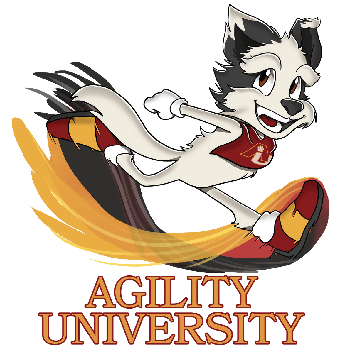 Agility University – Ernie's Agility Pro Shop